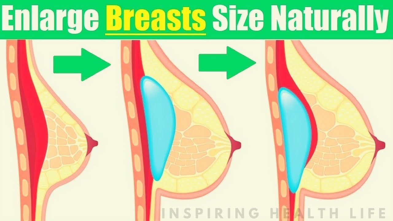 Most Attractive Breast Size And How To Enlarge It Naturally Youngstars Pk